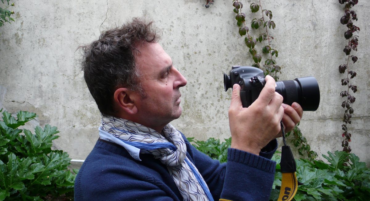 Philippe Boyer, un photographe à la recherche des abeilles sauvages