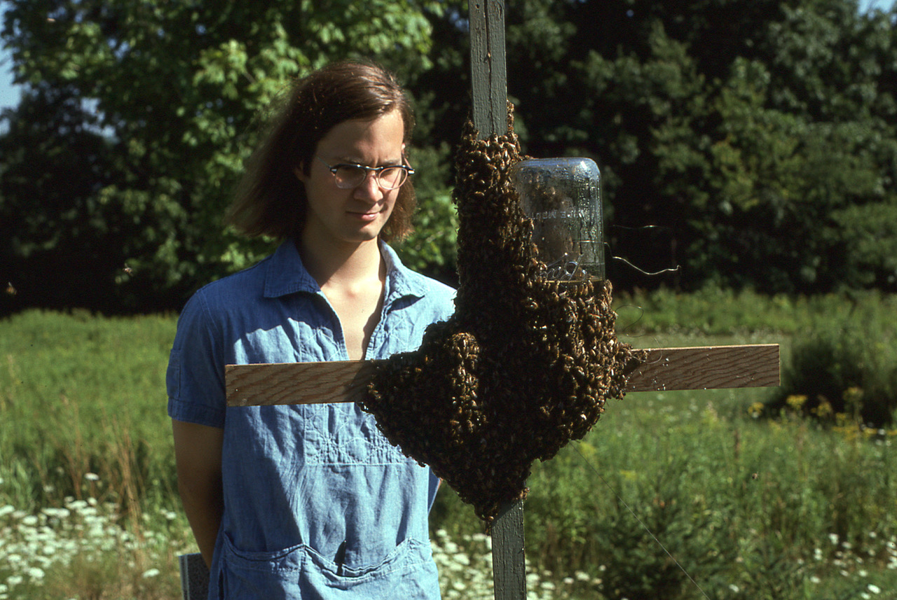 Thomas Seeley : une vie à observer les colonies sauvages d'abeilles ...
